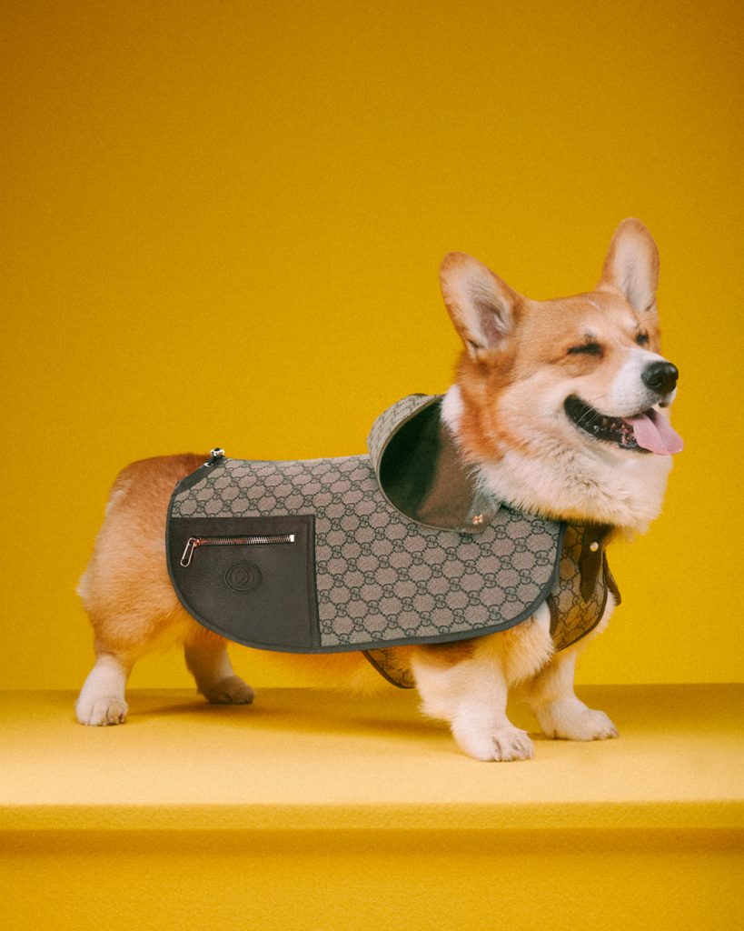 Designer dogs? Deze merken maken mode voor honden - Marie Claire